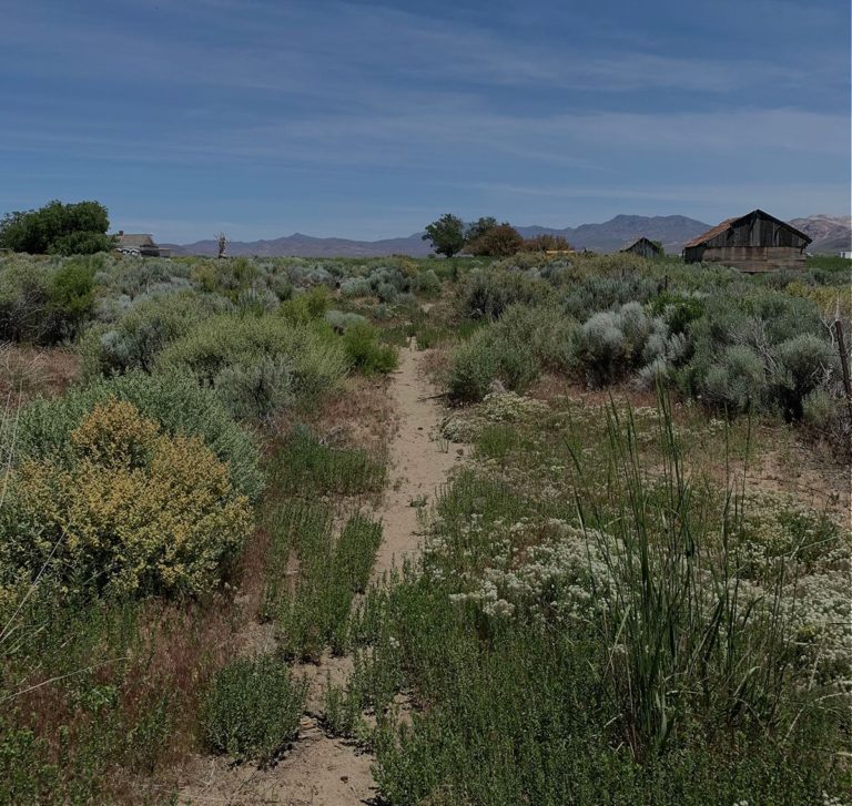 Land Art Generator and Burning Man 2020: Design the Future of Fly Ranch ...